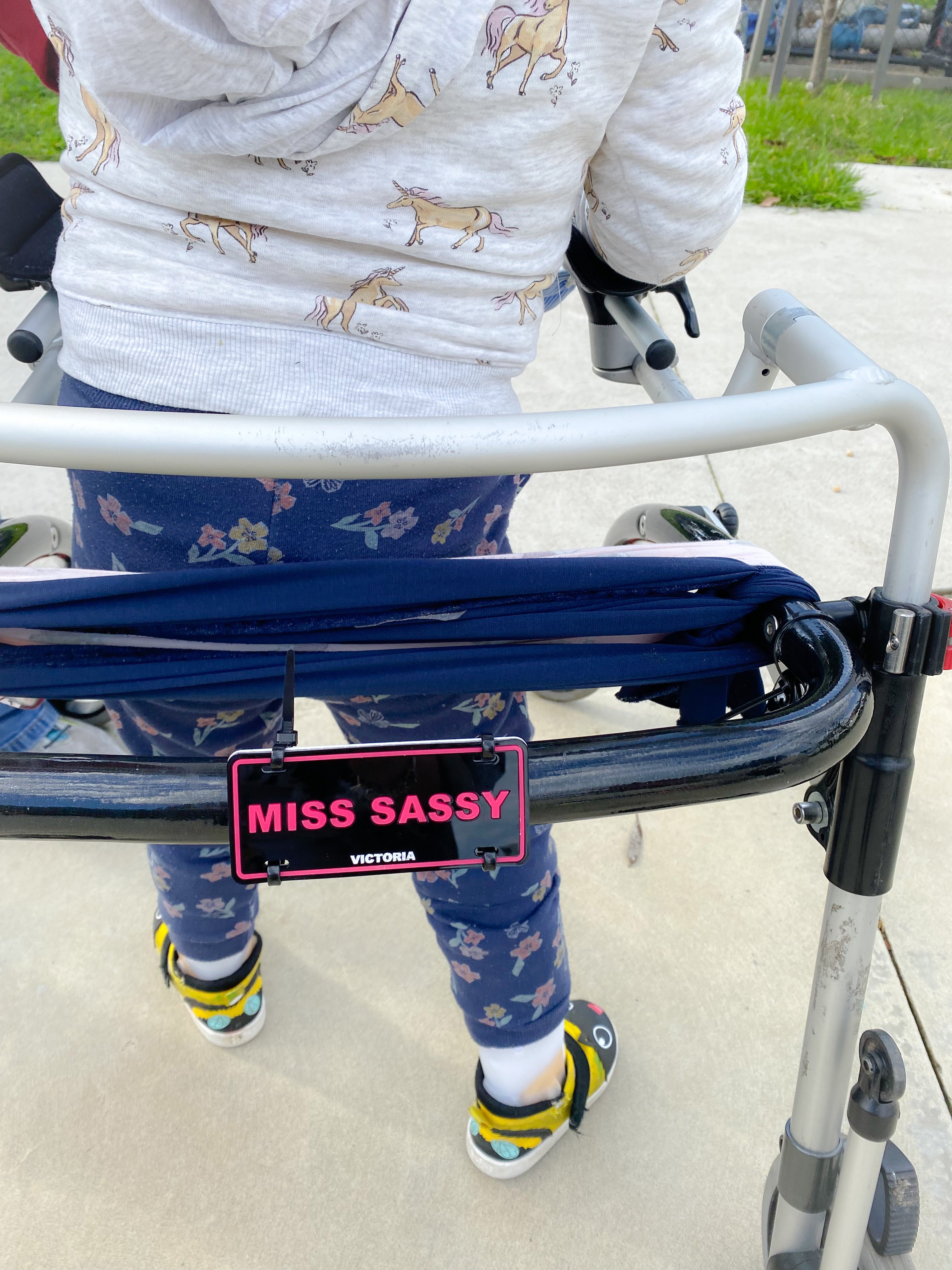 Personalised Walker & Wheelchair Number Plate – Custom Acrylic Accesso ...